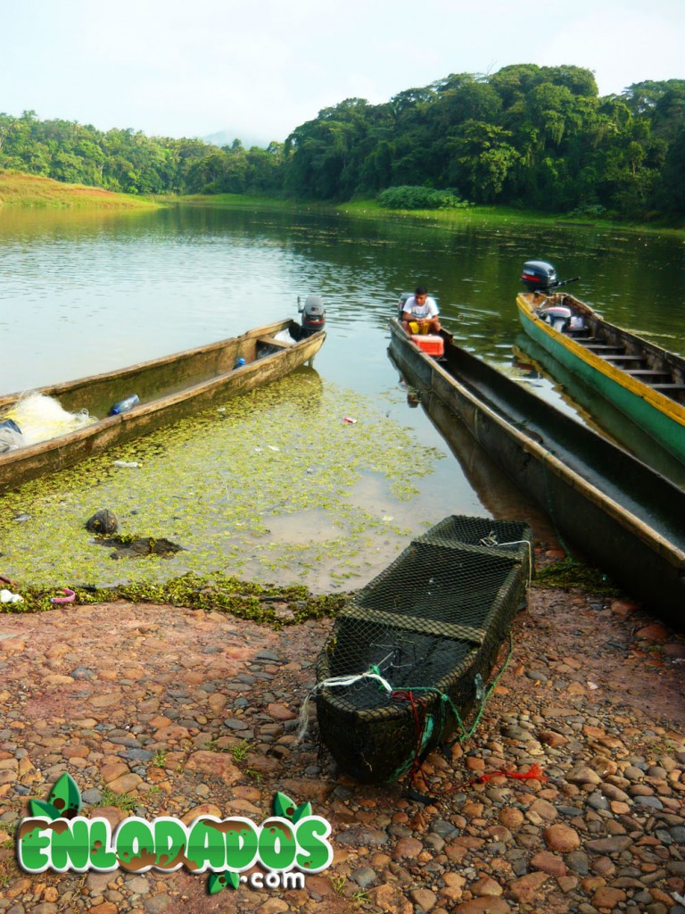 Enlodados.com :: lago alajuela
