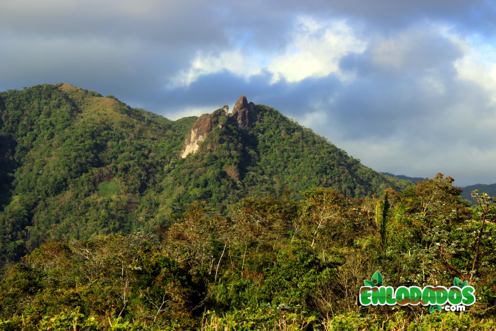 CoclÃ© | Enlodados.com